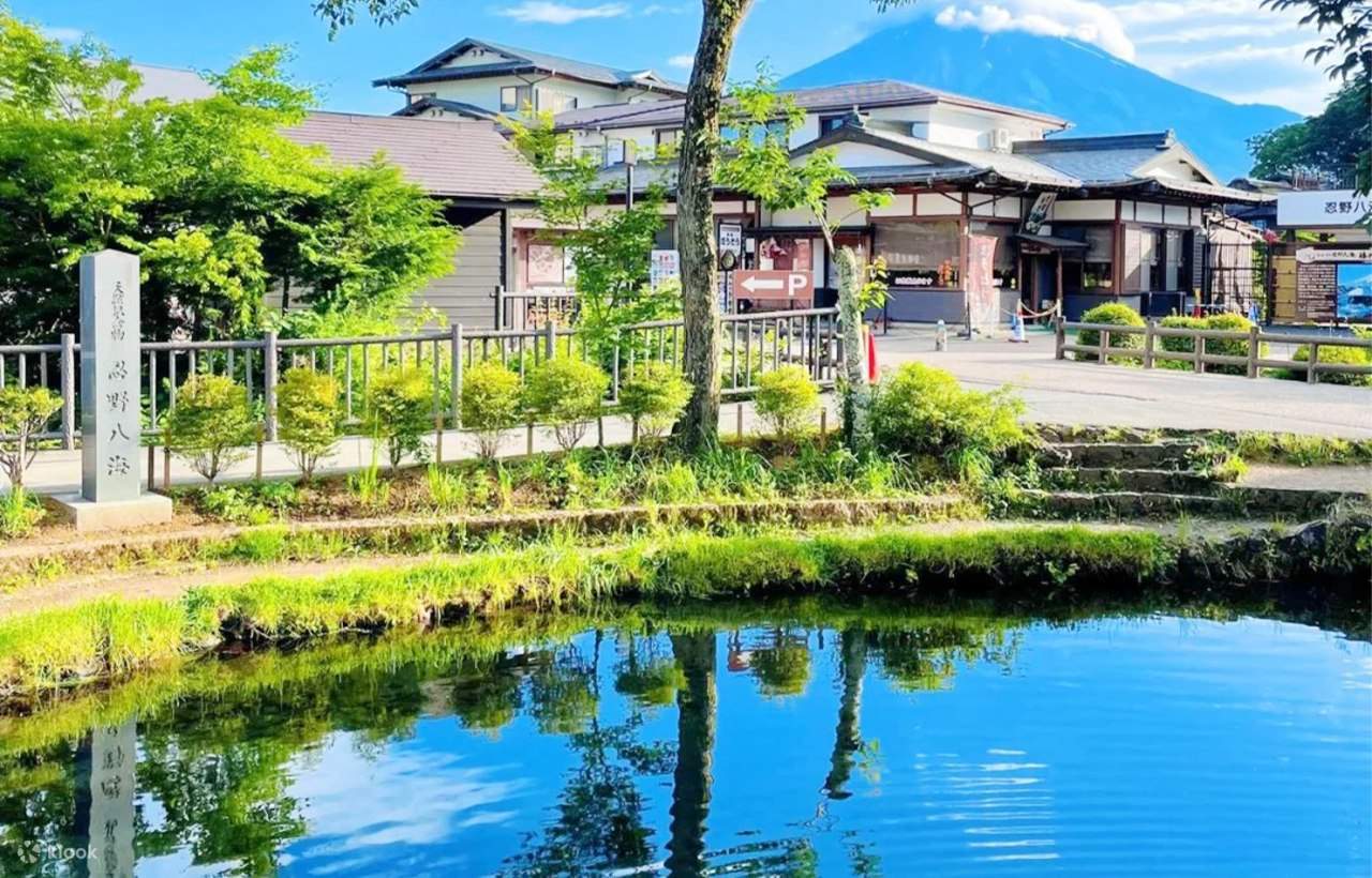 [Mount Fuji Popular Spots One-Day Tour] Arakurayama Sengen Park ...